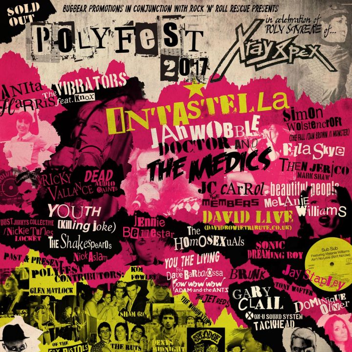 Punk poster design for Polyfest - Friedbanana Creative Design
